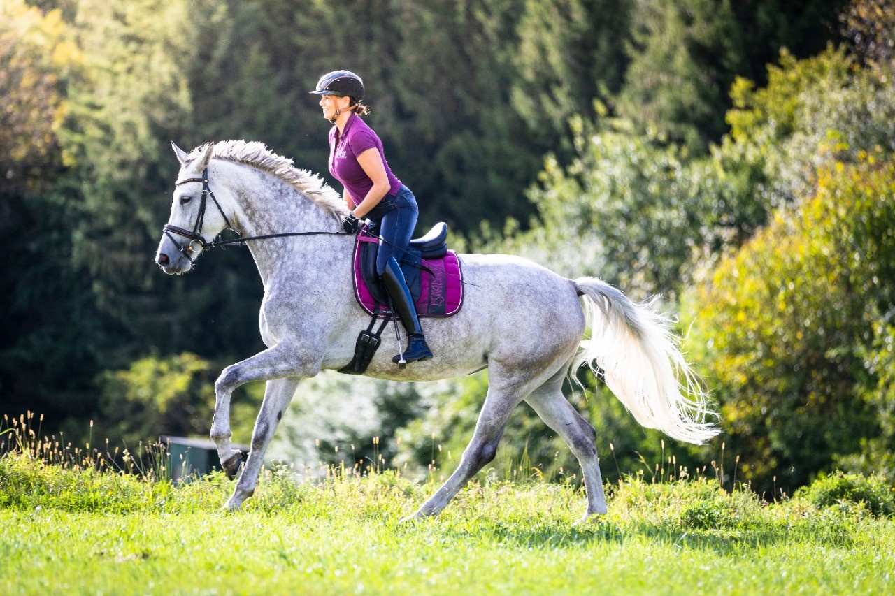 Galopp marsch – aber bitte immer auf beiden Händen!
