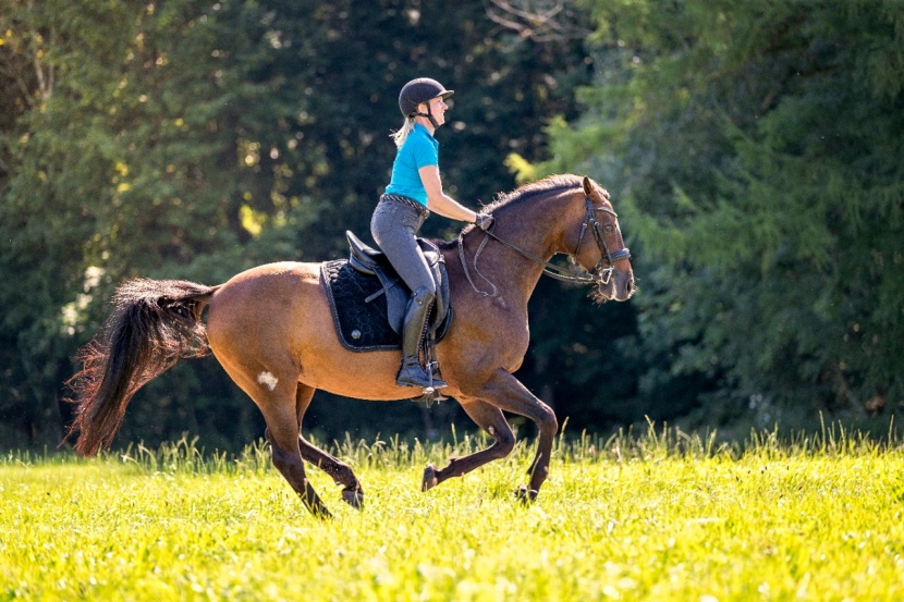 Galopp marsch – aber bitte immer auf beiden Händen!
