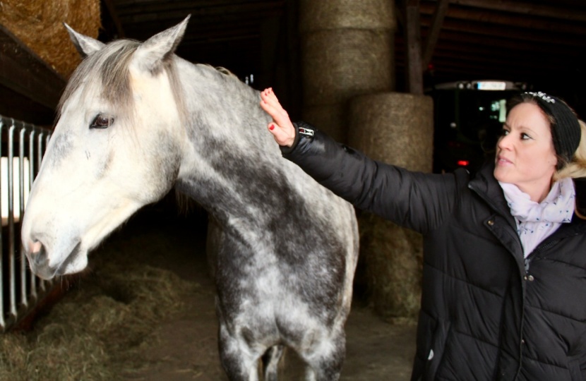 Belohnen mit Futter: So wird der Rüpel zum höflichen Pferd