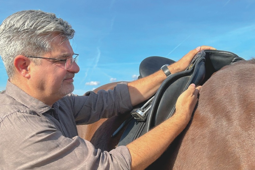 Der Sattel als Bindeglied