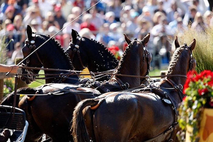 MAGNA RACINO Frühlingsfest - Der Countdown läuft!