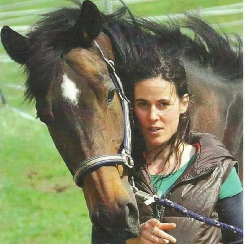 Wellness fürs Pferd: 3 Übungen für mehr Wohlbefinden