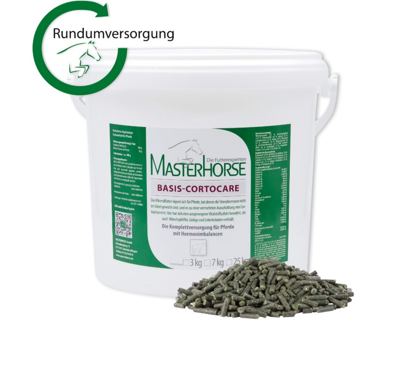 Cushing-Pferde optimal unterstützen