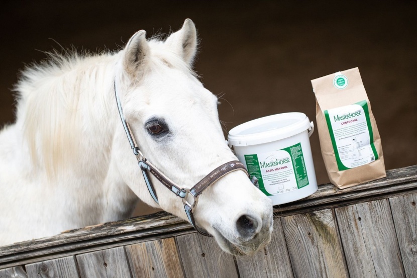 Cushing-Pferde optimal unterstützen