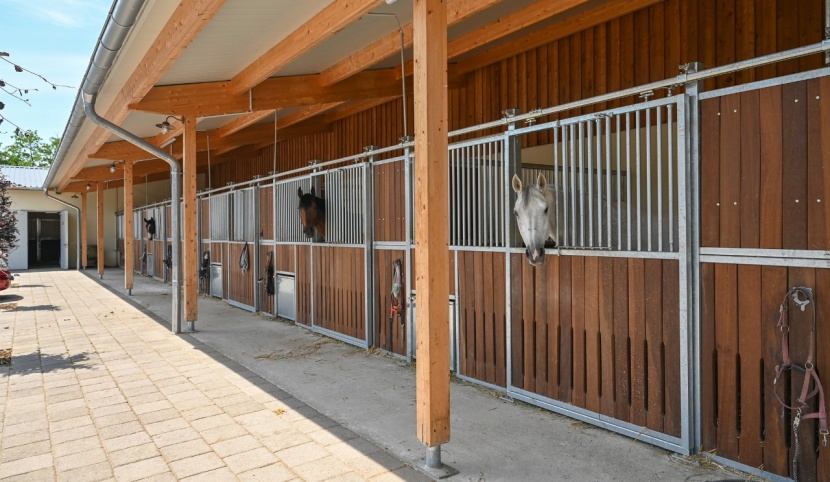 Reitanlagen-Spezialist aus Österreich