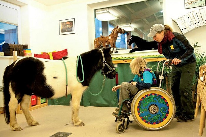 30 Jahre Pferde-Therapie in Österreich