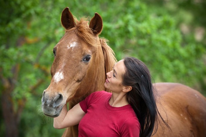 Landesausstellung Mensch und Pferd: Schon mehr als 100.000 Besucher