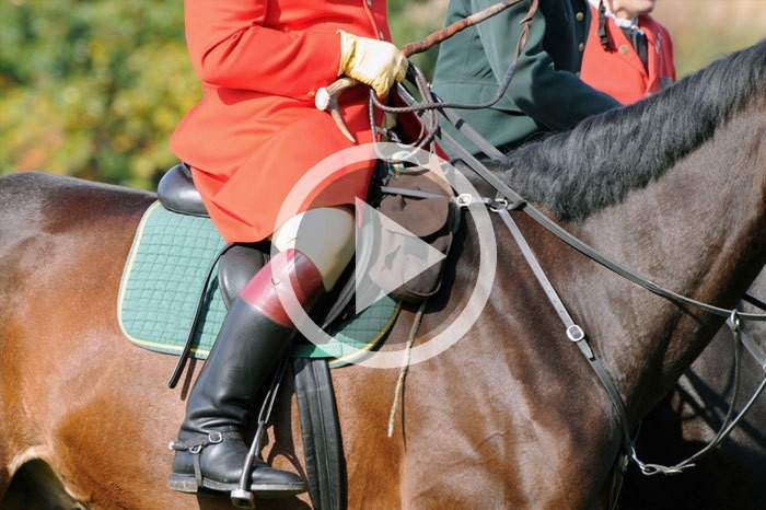 „Fass mein Pferd nicht an!“ Reiterin setzt sich mit Gerte zur Wehr