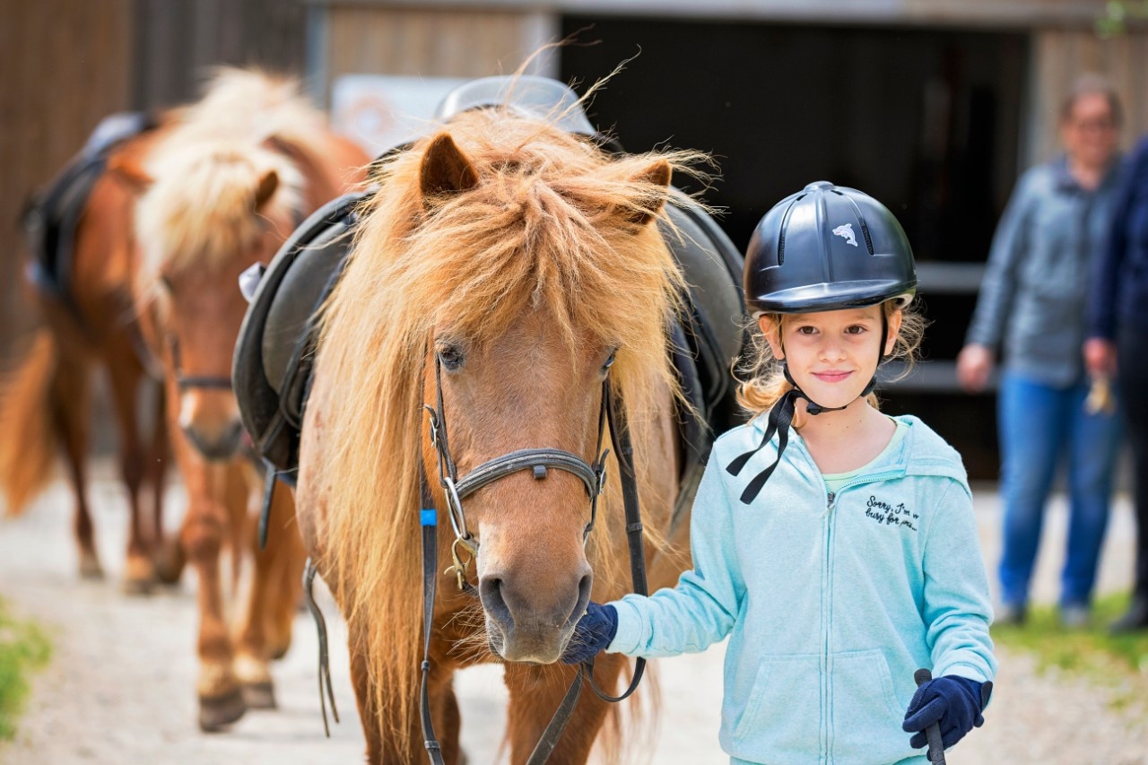 Das bringt die neue COVID19-Novelle für Reitbetriebe und Pferdesportler Das bringt die neue COVID19-Novelle für Reitbetriebe und Pferdesportler