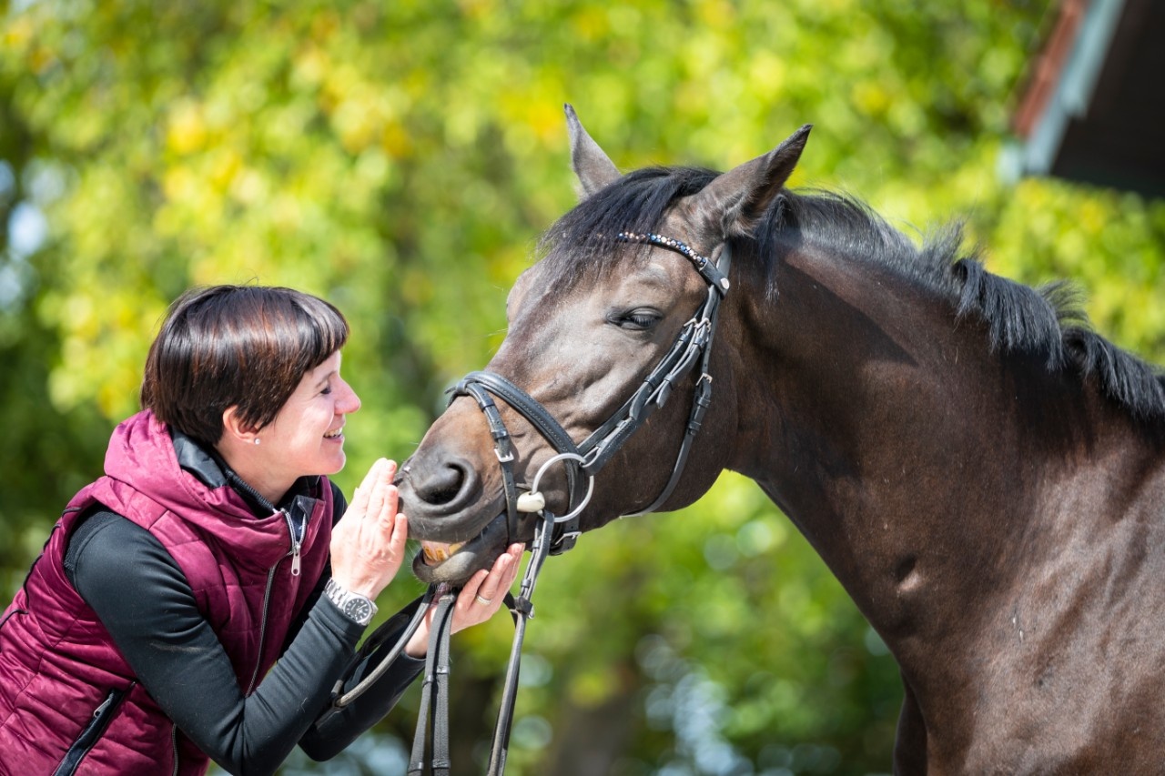 Süßes Gesäusel: Pferde stehen auf Babysprache