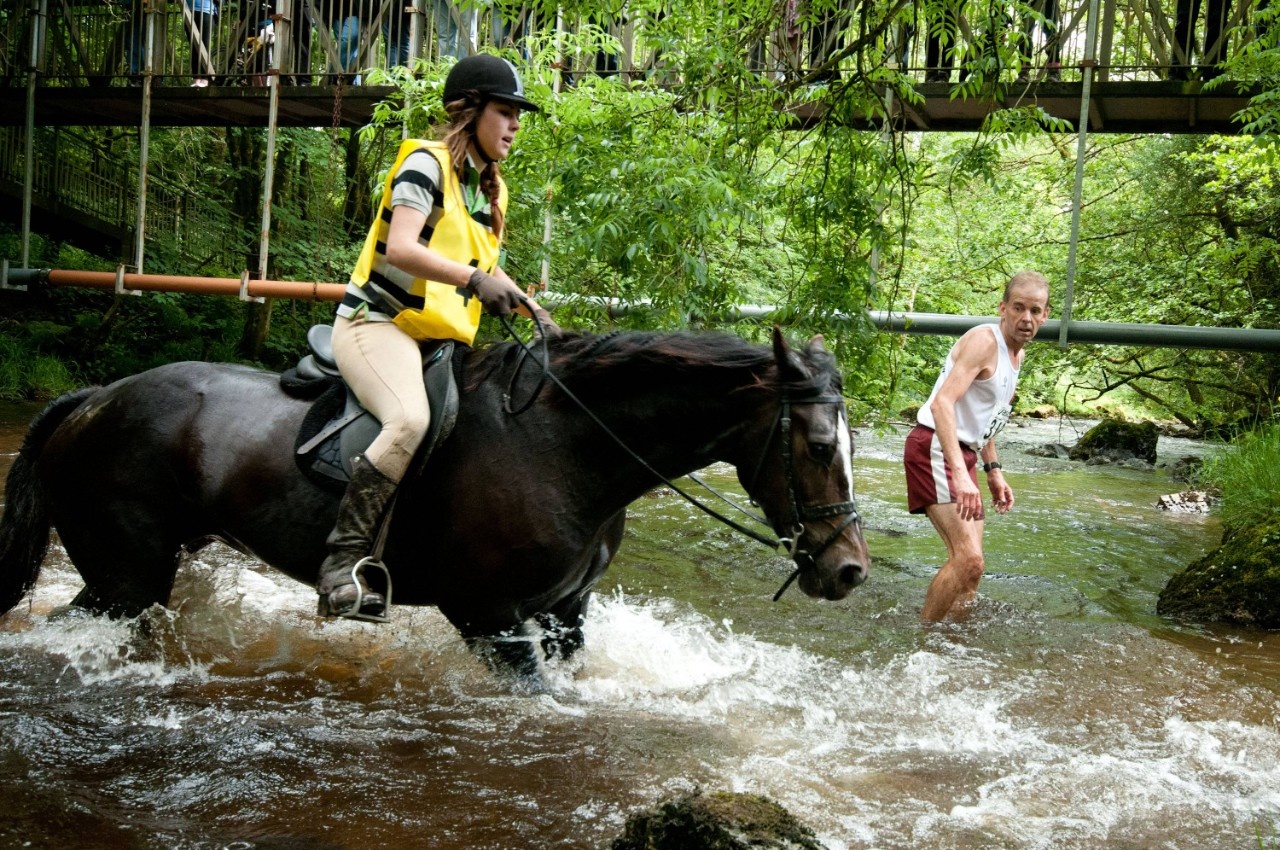 Schneller als ein Pferd: Brite sorgt bei außergewöhnlichem Rennen für ...