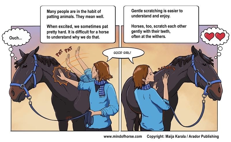 The Mind of a Horse: Ein Comic erklärt die Gefühlswelt der Pferde