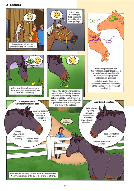 The Mind of a Horse: Ein Comic erklärt die Gefühlswelt der Pferde