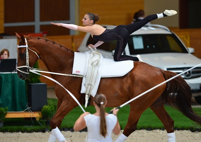 Stadl-Paura: Vier Siege, fünf Podestplätze für heimische Voltigierer