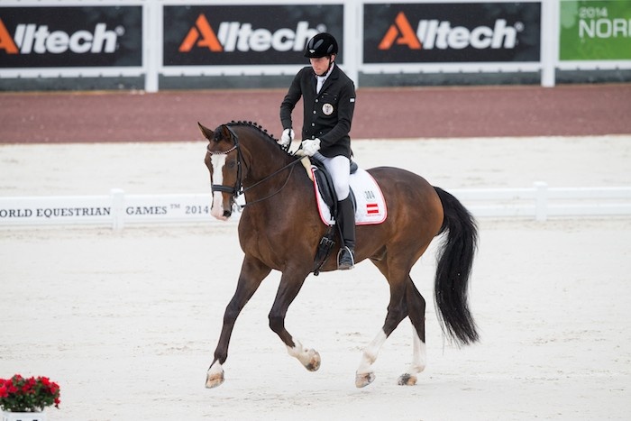Magna Racino: Pepo Puch und Bernd Brugger siegen zum Auftakt