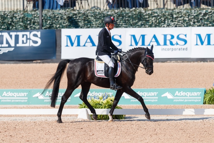 CPEDI Blue Hors: Pepo Puch startet mit zwei Siegen