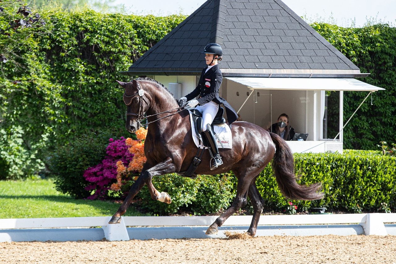Euro, wir kommen! Österreichs Teams für Nachwuchs-Dressur ...