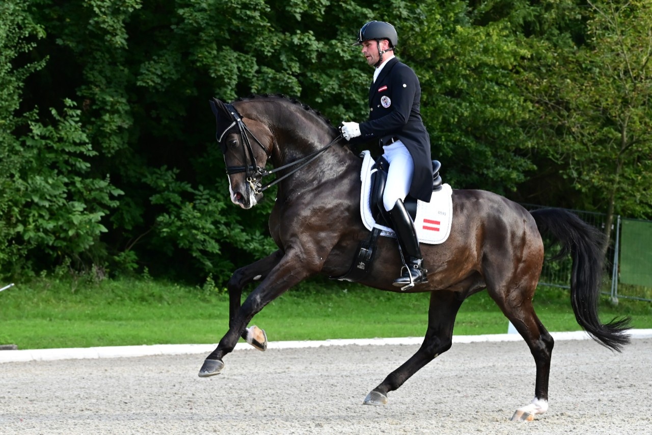 Staatsmeisterschaft Dressur: Erster Streich an Lehfellner und Abegglen