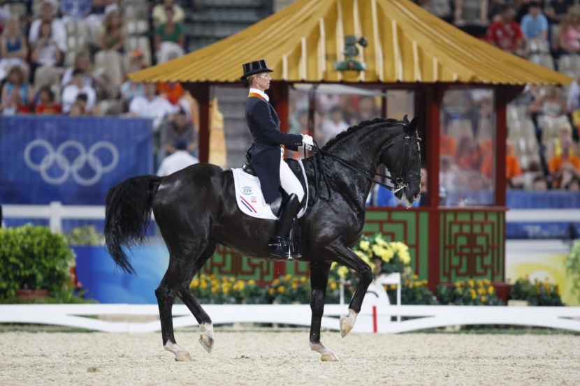 Anky van Grunsvens Olympiasieger Salinero gestorben