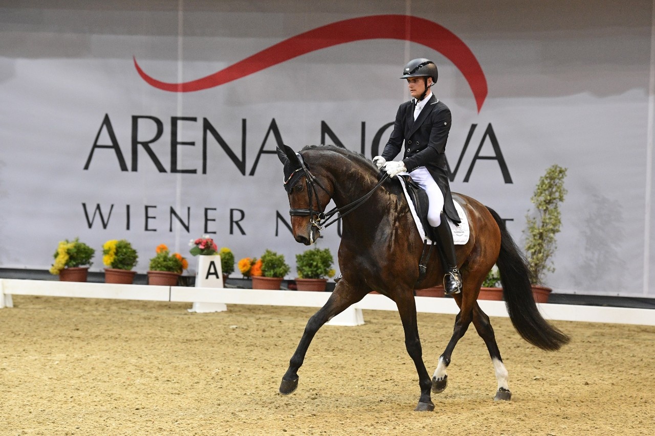 Arena Nova: Grand-Prix-Siege für Max Wadenspanner und Laura Strobl