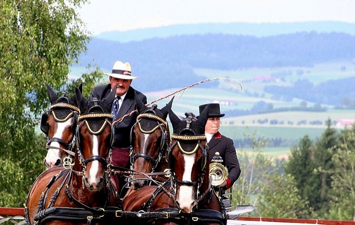 Georg Moser holt Staatsmeistertitel im Vierspänner