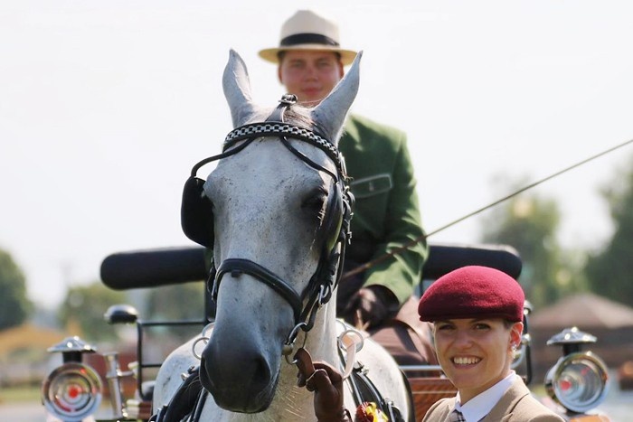 WM junger Fahrpferde: Vinzenz Dobretsberger holt Bronze