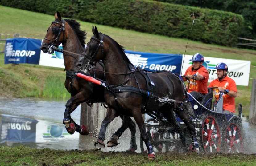 Zweispänner-Staatsmeisterschaft nach Sturzserie an Markus Leitner