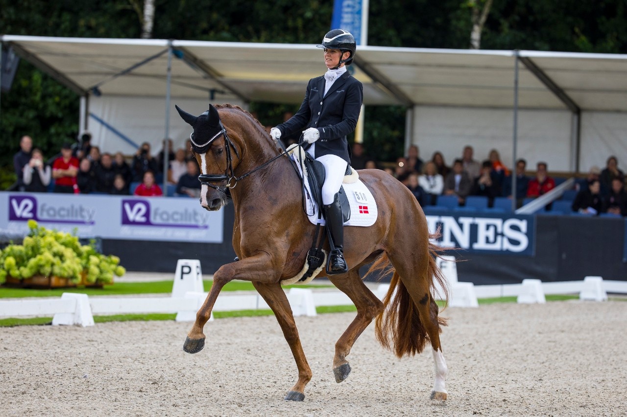 Ermelo: WM-Finale im Zeichen der Harmonie und der natürlichen ...
