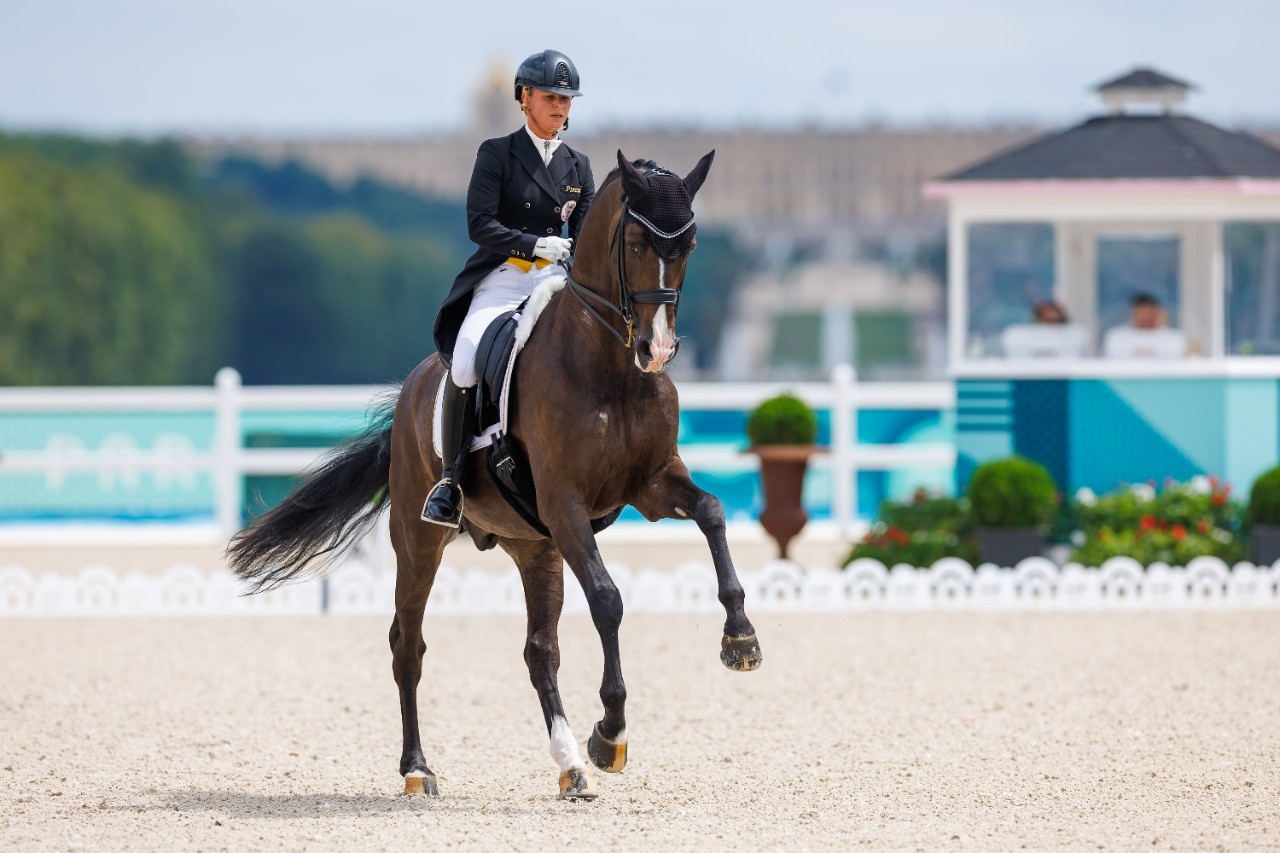 Österreichische Erfolge international