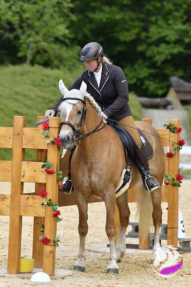 Working Equitation der Superlative