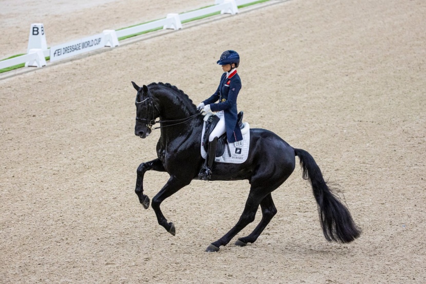 Indoor-Brabant: Max Kühner gewinnt Hauptspringen am Samstag, verpatzter ...