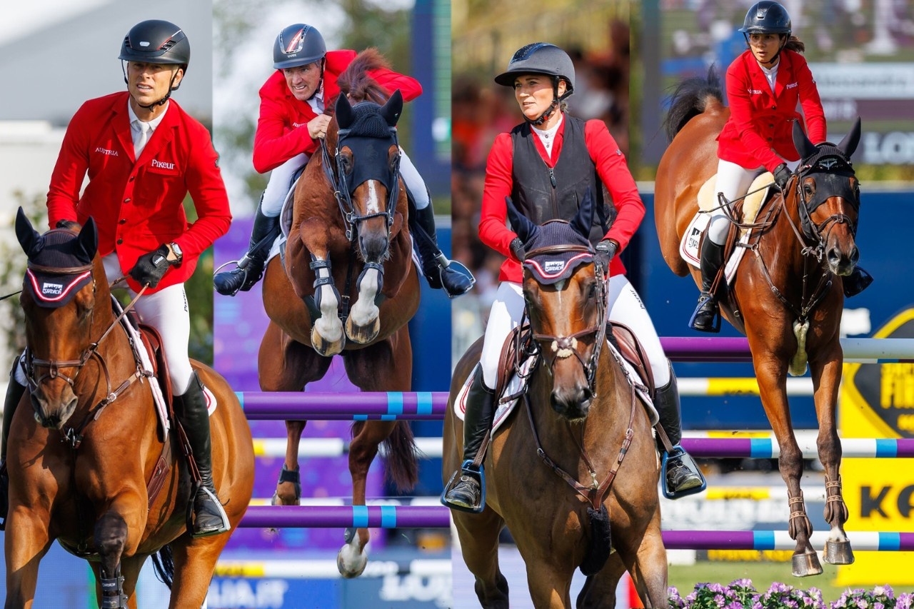 Lotterien-Sporthilfe-Gala: Spring-Equipe als „Team des Jahres“ nominiert