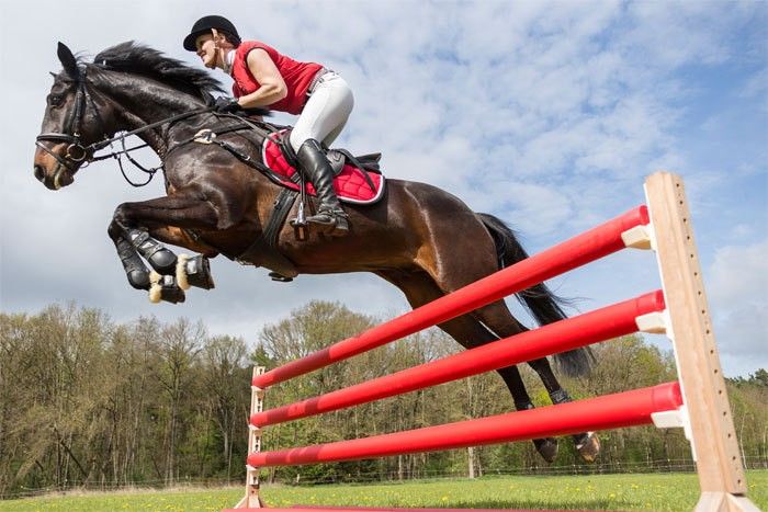 Springreiten: Tipps für unsichere Pferde