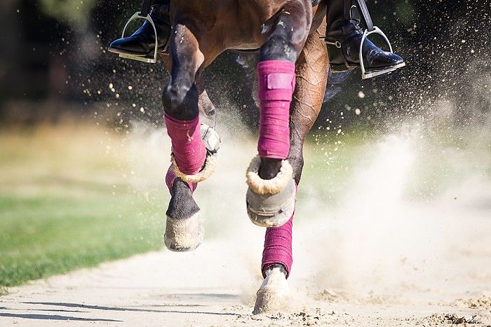 9 Übungen für einen besseren Galopp