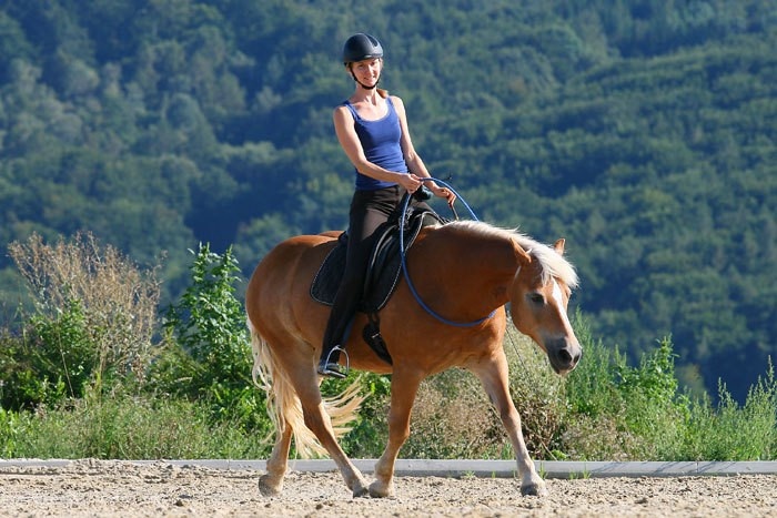Reiten mit dem Halsring: So klappt der Einstieg