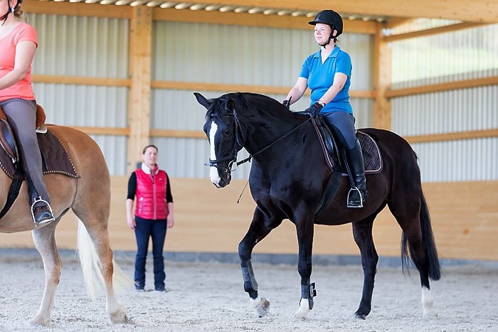 Ausbildung neu: Gutes Reiten im Fokus
