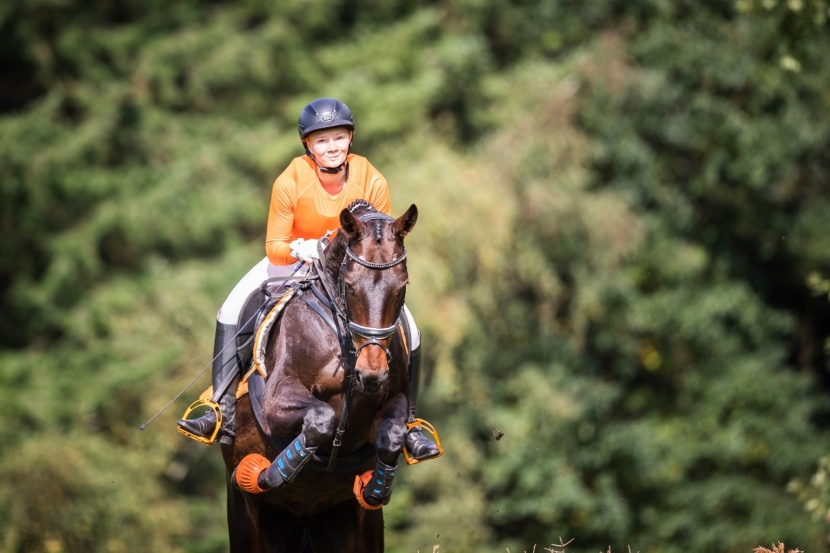 Motivationstypen beim Pferd: Wie man sie richtig trainiert
