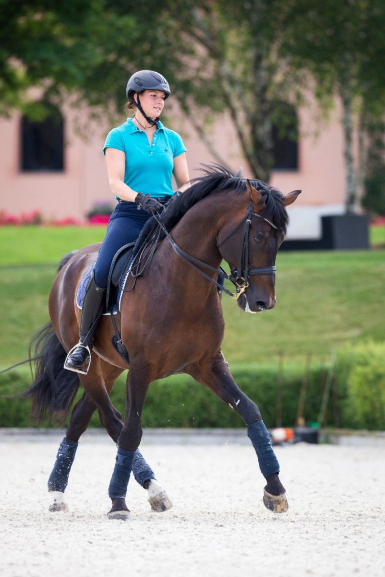 Paraden: Wie man sie richtig reitet und 8 Übungen für jeden ...