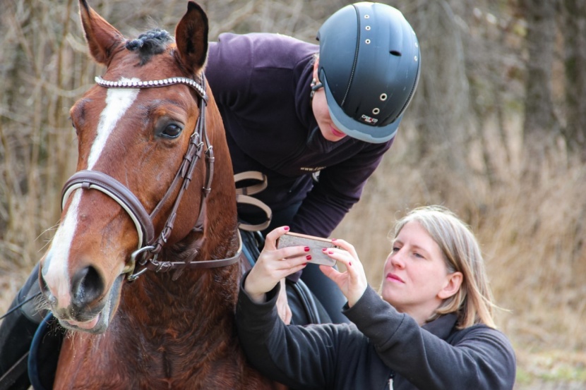 Reiten im Videocheck: Was es bringt, welche Systeme helfen