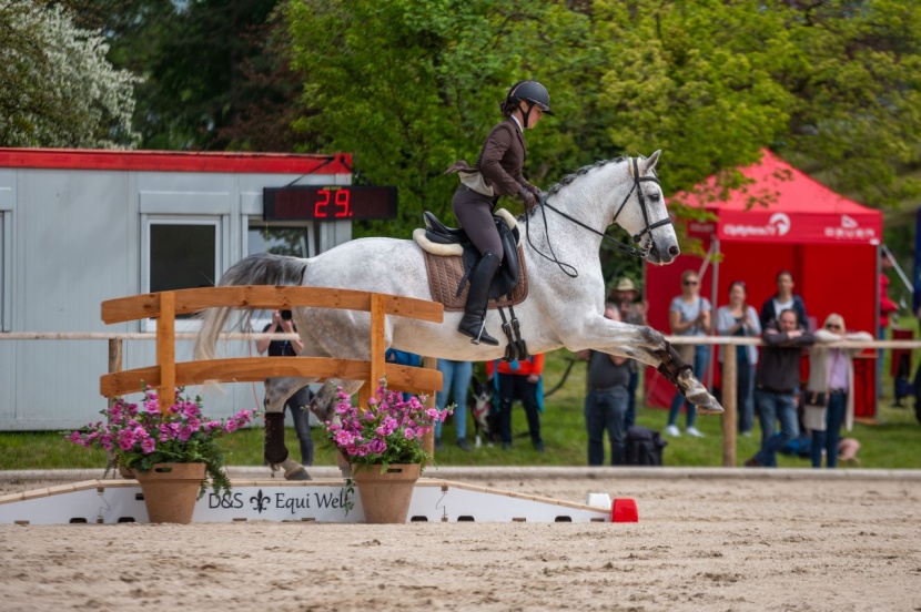 Working Equitation: Eine fröhliche Disziplin für jedes Pferd