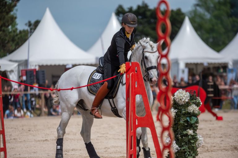Working Equitation: Eine fröhliche Disziplin für jedes Pferd