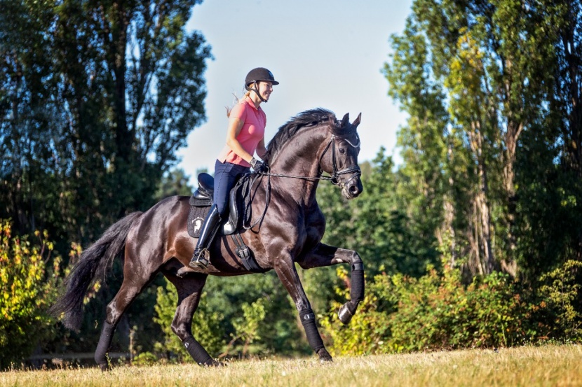 Raus ins Gelände mit den Pferden!