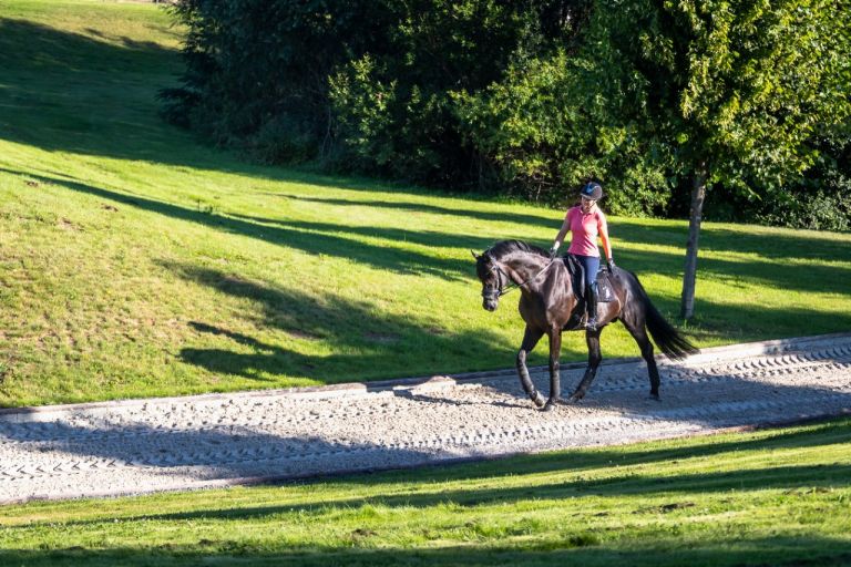 Raus ins Gelände mit den Pferden!