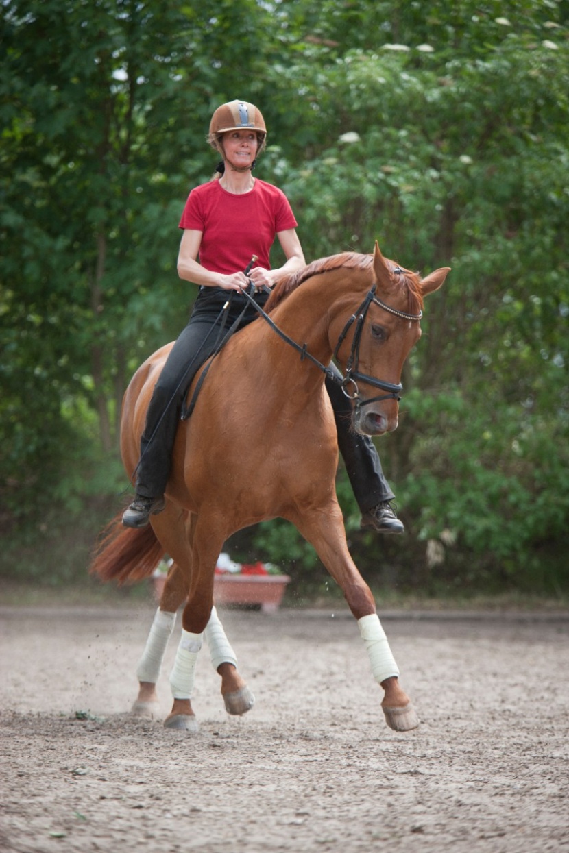 Reiten „pur”: Wie gesund ist das Reiten ohne Sattel fürs Pferd?