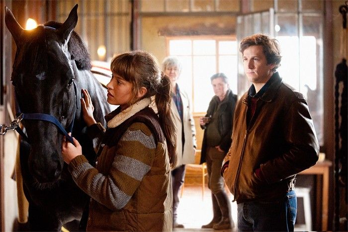 10 Pferdefilme, die man gesehen haben muss