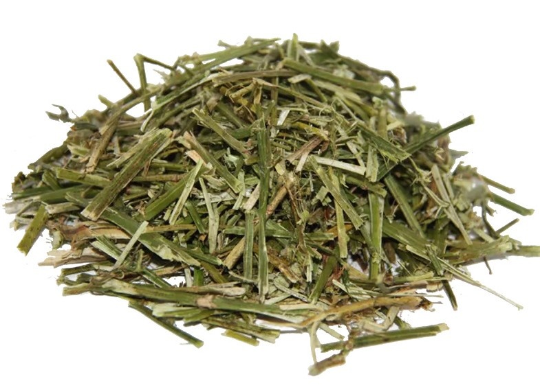 Luzerne: Protein-Booster im Pferdefuttertrog