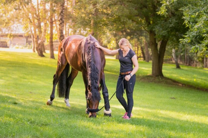 Der Stallwechsel als Chance für Pferd und Mensch